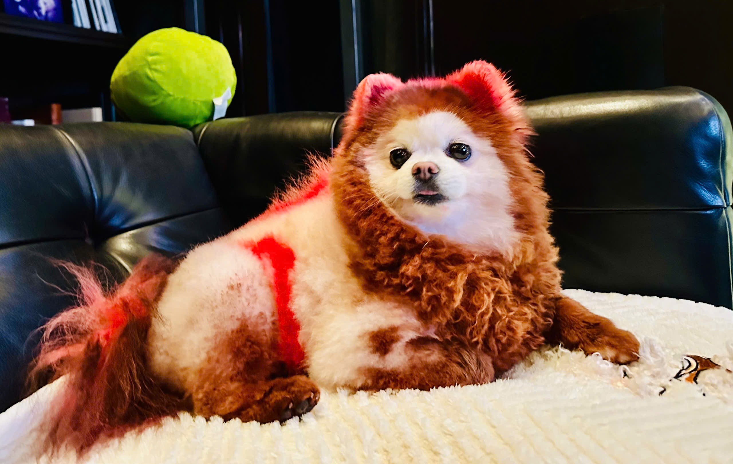 Hà Phương rạng rỡ, đọ dáng cùng em gái Minh Tuyết trong tiệc mừng đám ...